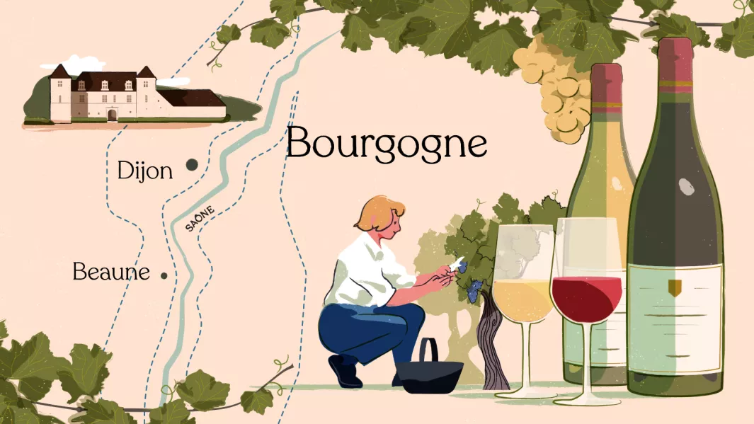 Terroirs of Bourgogne: The Remarkable History of "Climates" | Taste ...